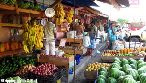 33 Best Dominican Republic Travel Tips for a Perfect Trip